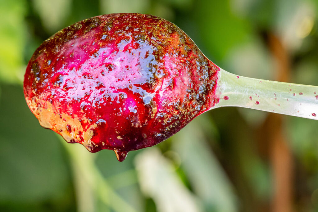 Low Sugar No Pectin Blueberry Jam
