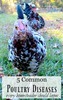 5 Common Poultry Diseases Every Homesteader Should Know About - Melissa ...