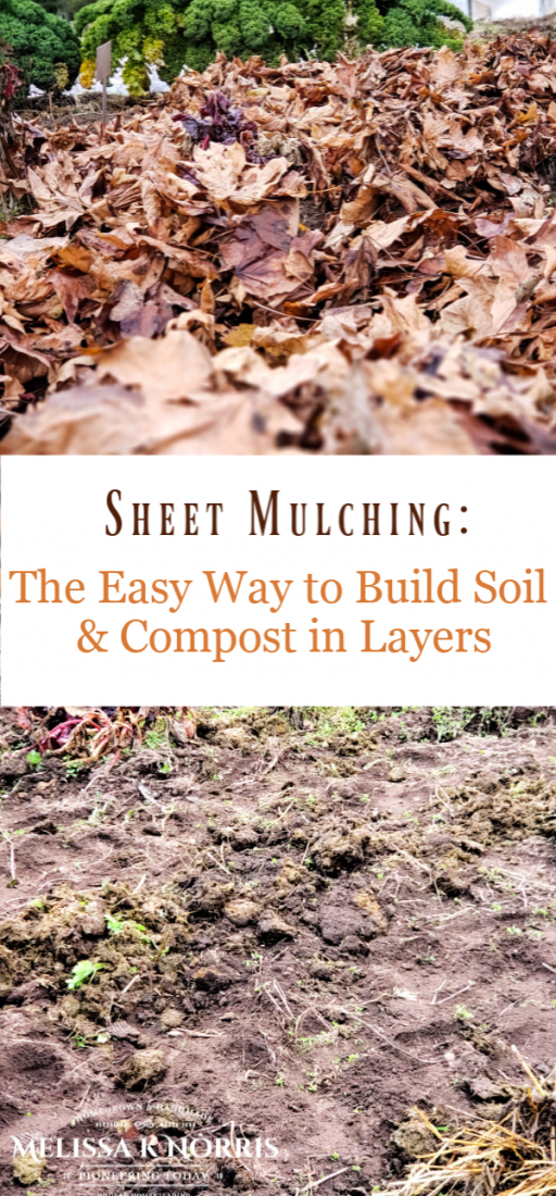 Sheet Mulching: the Easy Way to Build Soil & Compost in Layers ...