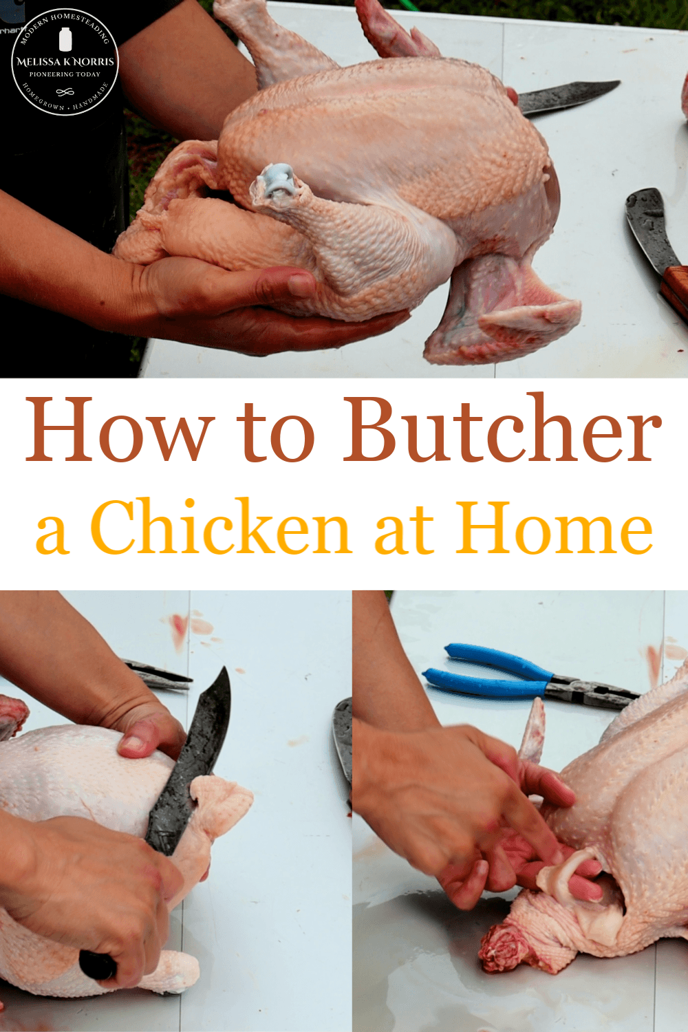 How to Butcher a Chicken