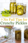 7 Tips for Crunchy Pickles Every Time - Melissa K. Norris