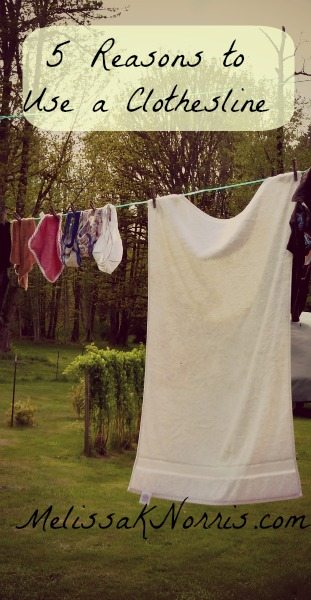 Pioneering Today-5 Reasons to Use a Clothesline - Melissa K. Norris