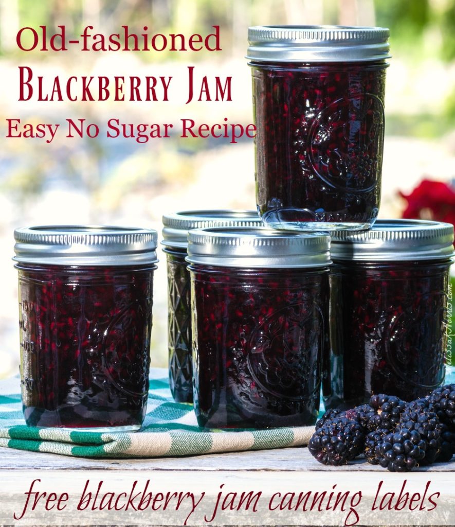 Easy Blackberry Jam Recipe Low Sugar with Canning Instructions ...