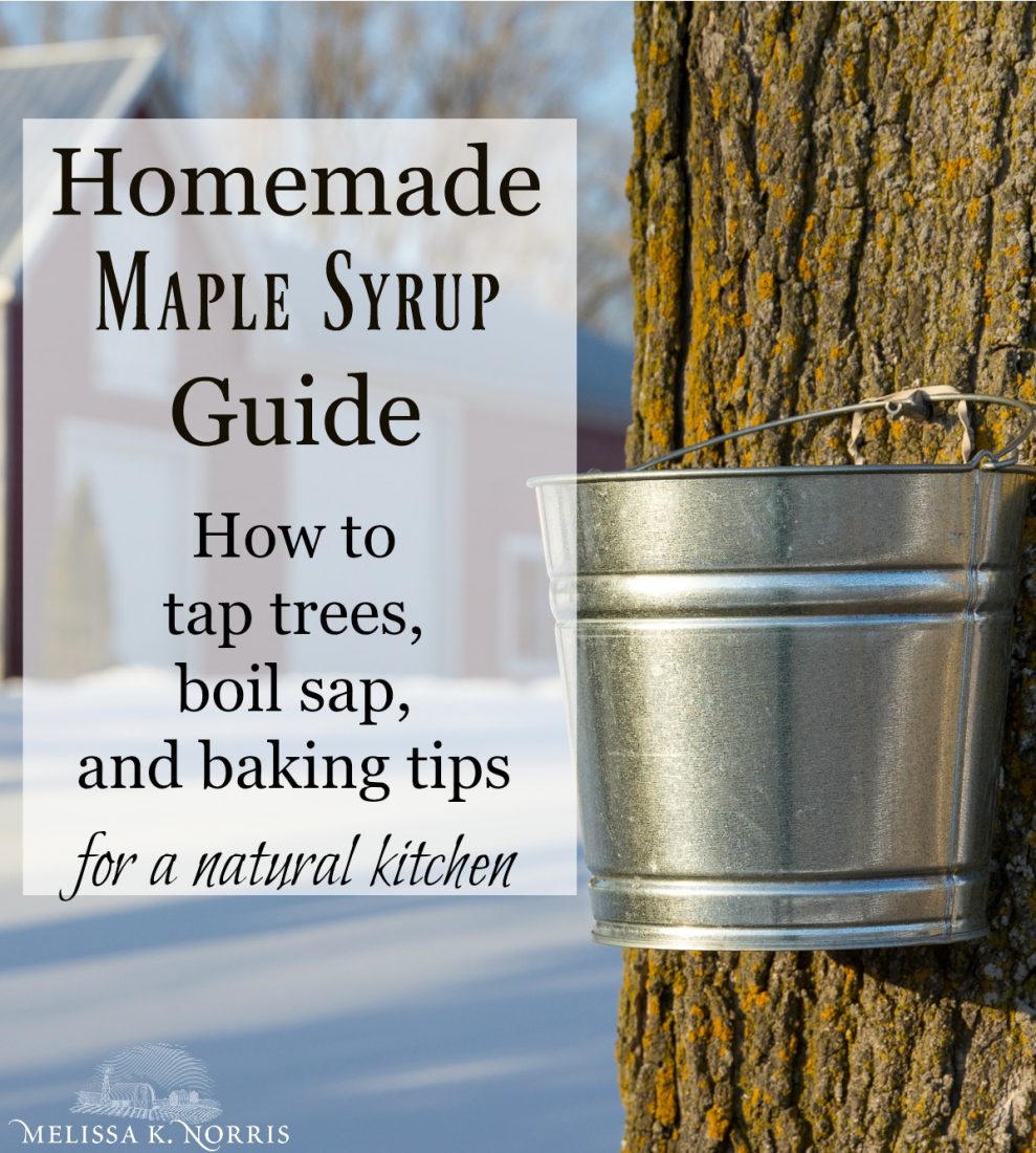 Homemade Maple Syrup Guide - How to Tap, Make Syrup & Baking Tips ...