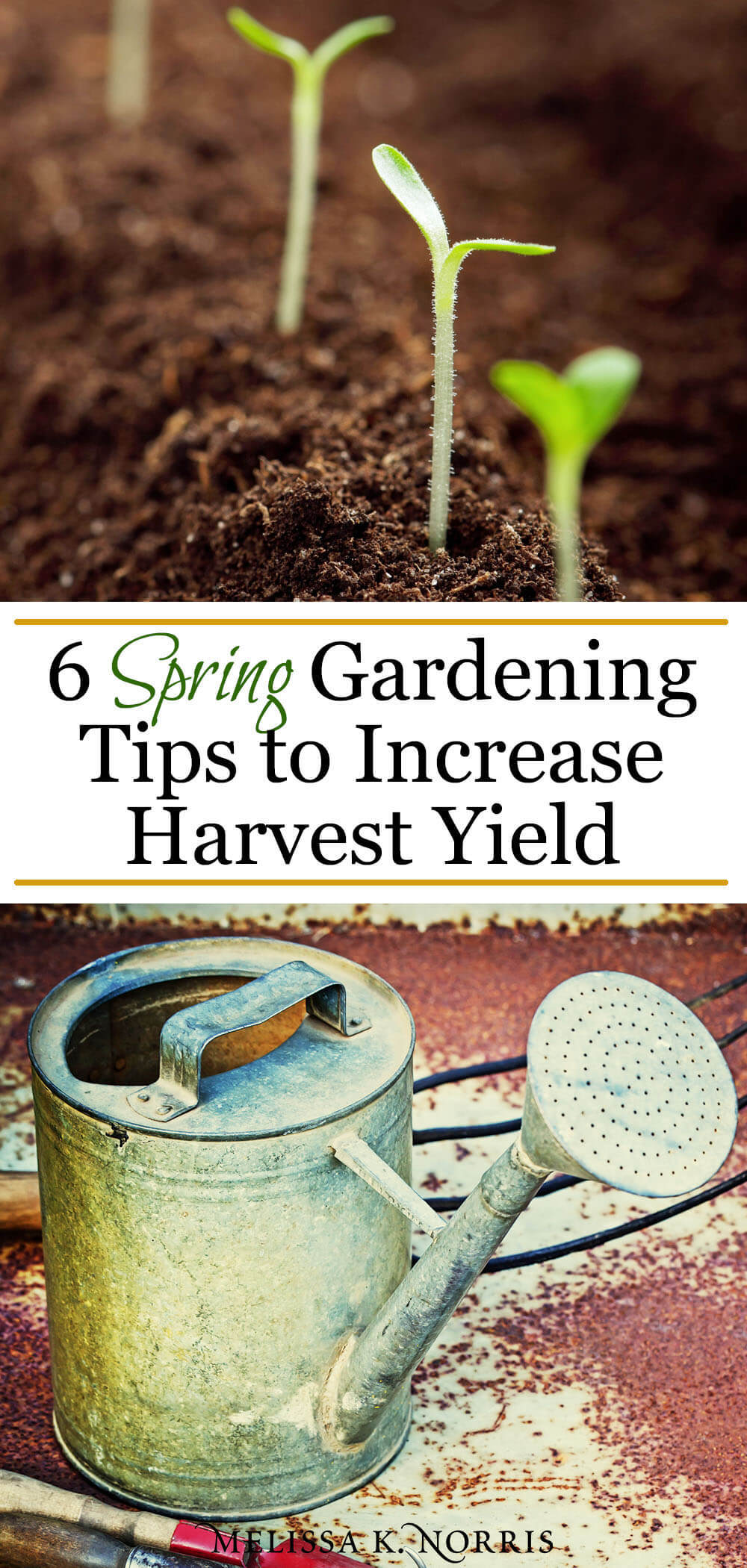 Spring Gardening Tips to Increase Harvest Yield - Melissa K. Norris