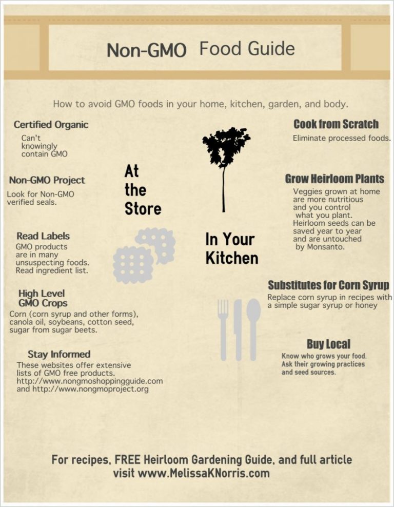 Non-GMO Foods & How to Avoid GMOs - Melissa K. Norris