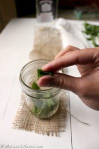 How to Make Homemade Mint Extract