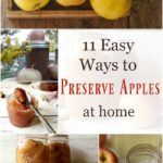 11 Ways to Preserve Apples at Home