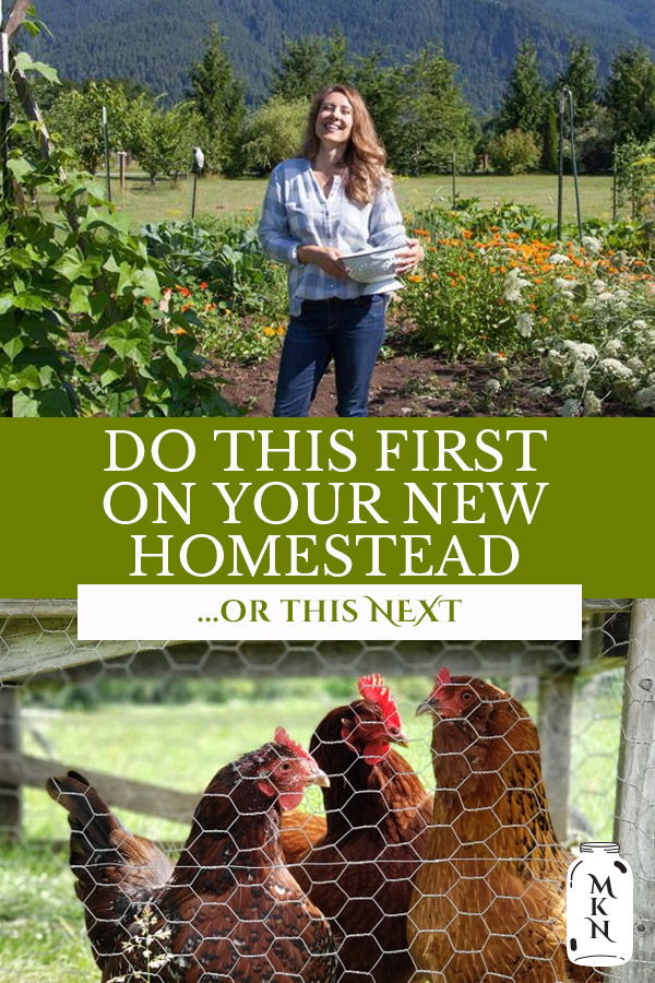 What To Do FIRST On Your Homestead (Or What To Do NEXT) - Melissa K. Norris