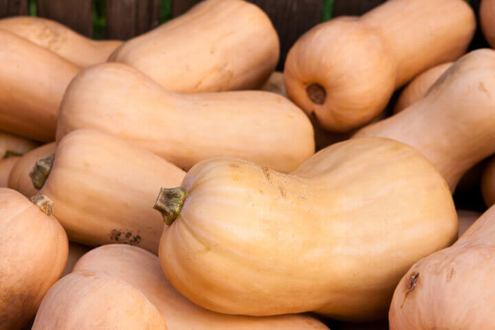 10 Tips for Storing Vegetables without a Root Cellar Long Term