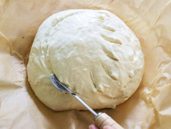 No Knead Bread Recipe in Less than 5 Minutes a Day