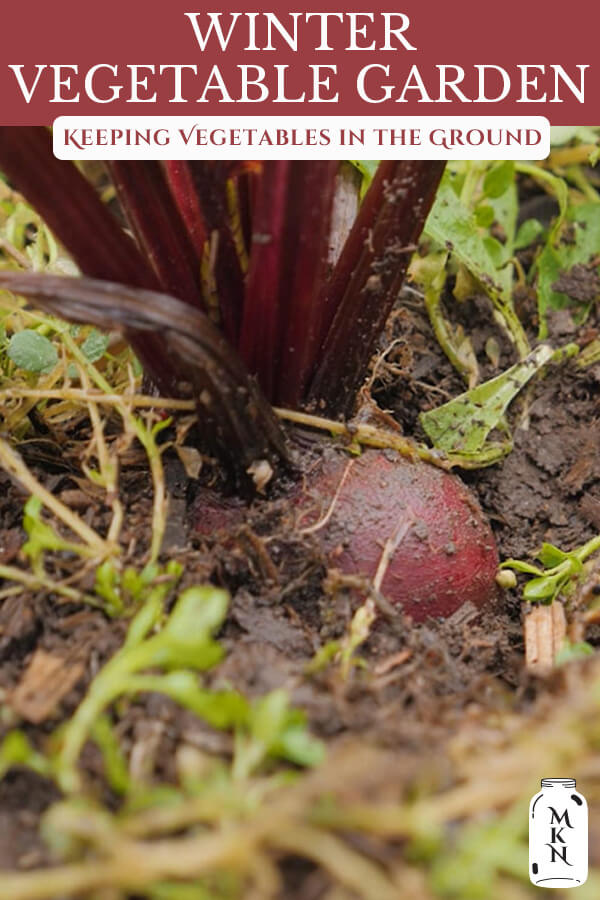 Winter Vegetable Garden: Storing Vegetables over Winter - Melissa K. Norris