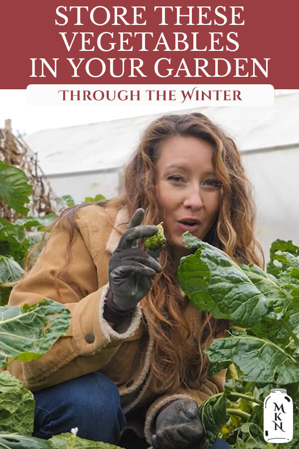 Winter Vegetable Garden: Storing Vegetables over Winter - Melissa K. Norris