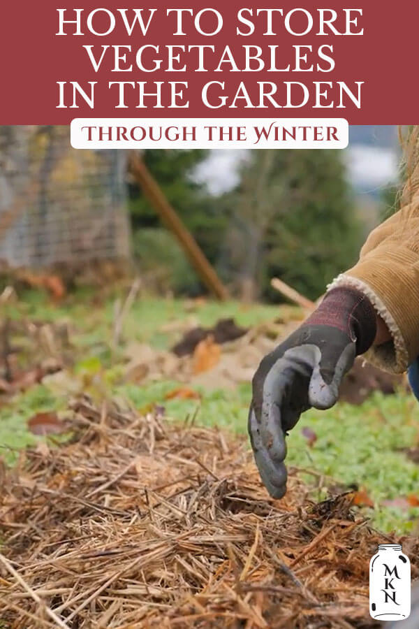 Winter Vegetable Garden: Storing Vegetables over Winter - Melissa K. Norris