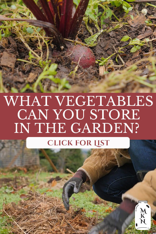 Winter Vegetable Garden: Storing Vegetables over Winter - Melissa K. Norris