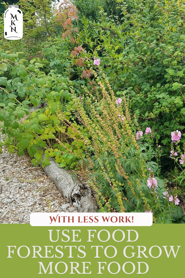 Ultimate Guide to Food Forests (Syntropic Agroforestry) - Melissa K. Norris