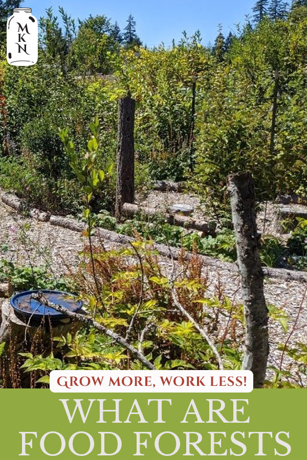 Ultimate Guide to Food Forests (Syntropic Agroforestry) - Melissa K. Norris