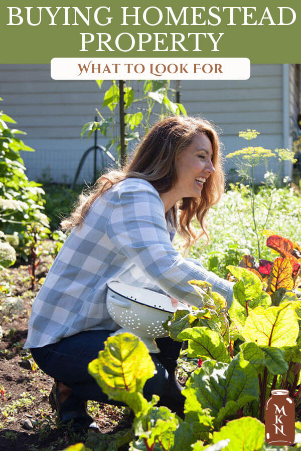 How to Buy a Homestead - What to Look For - Melissa K. Norris