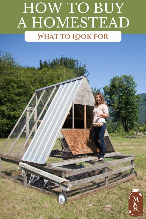 How to Buy a Homestead - What to Look For - Melissa K. Norris