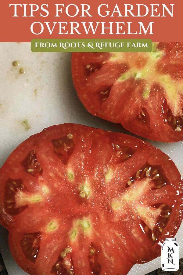 Foolproof Methods When Garden Overwhelm Sets In Jessica Sowards of ...