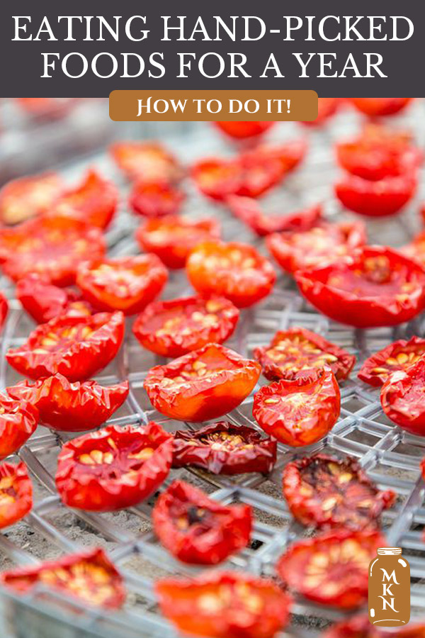 Eating a Year of Hand Harvested Food with Alexia - Melissa K. Norris