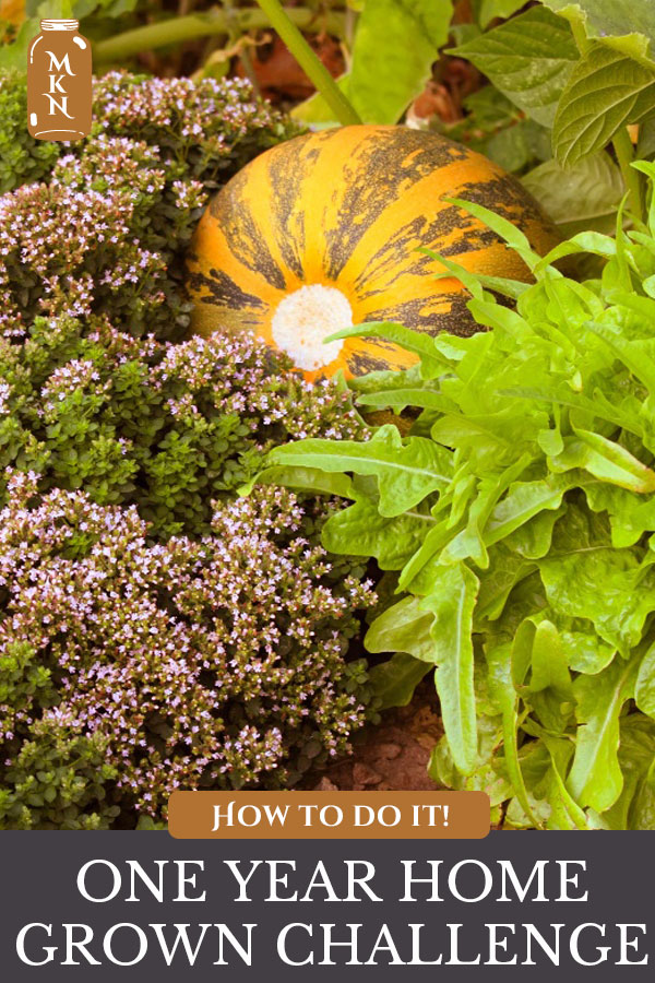 Eating a Year of Hand Harvested Food with Alexia - Melissa K. Norris