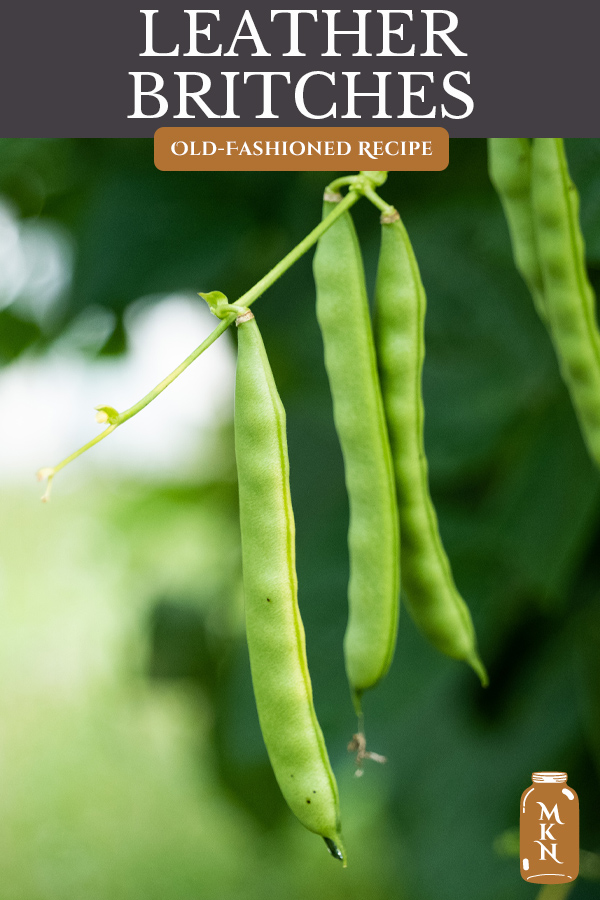 Leather Britches Green Beans (200-Year-Old Preservation Method)