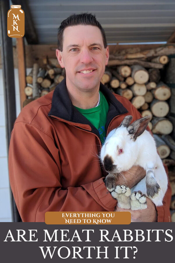 Everything You Need to Know About Raising Rabbits for Meat - Melissa K ...