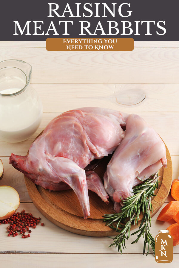 Everything You Need to Know About Raising Rabbits for Meat - Melissa K ...