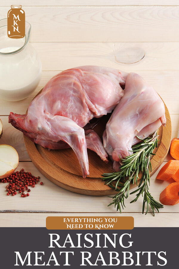 Everything You Need to Know About Raising Rabbits for Meat - Melissa K ...