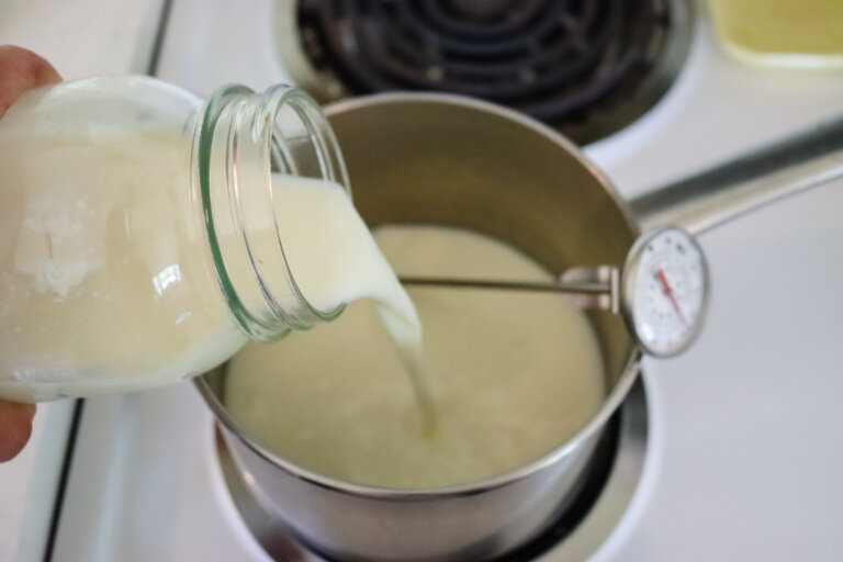 How to Make Homemade Yogurt That's Thick and Creamy
