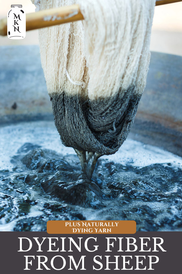 Raising Sheep for Fiber & Naturally Dyeing Wool - Melissa K. Norris