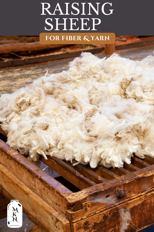 Raising Sheep for Fiber & Naturally Dyeing Wool - Melissa K. Norris