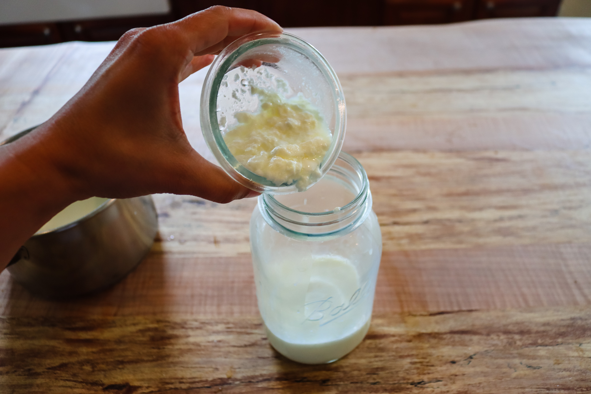 How to Make Homemade Yogurt That's Thick and Creamy