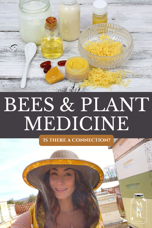 The Link Between Honeybees & Plant Medicine - Melissa K. Norris