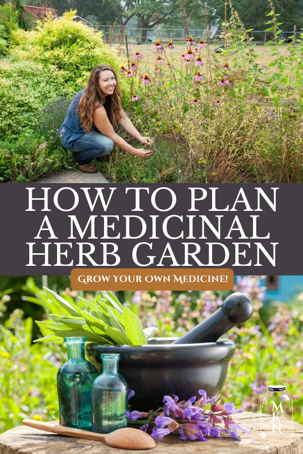 Medicinal Herb Garden (Planning and Growing) - Melissa K. Norris