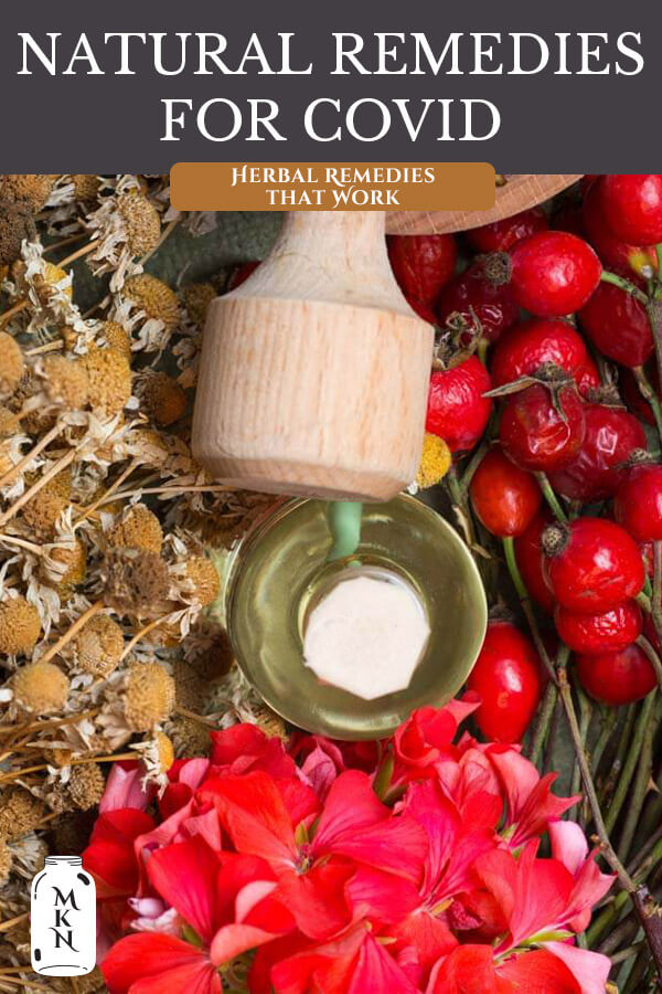 COVID Remedies & Online Censorship - Melissa K. Norris