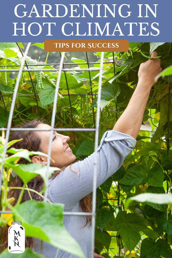 Hot Climate Gardening Tips - Melissa K. Norris