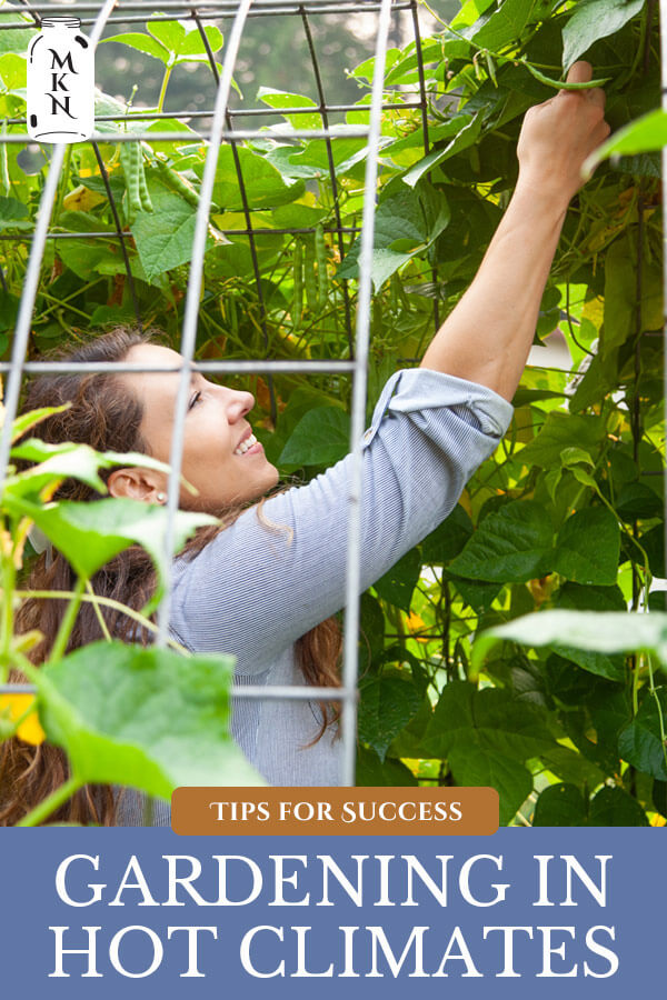 Hot Climate Gardening Tips - Melissa K. Norris