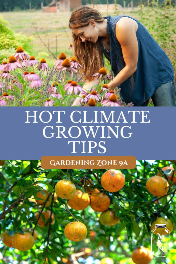 Hot Climate Gardening Tips - Melissa K. Norris