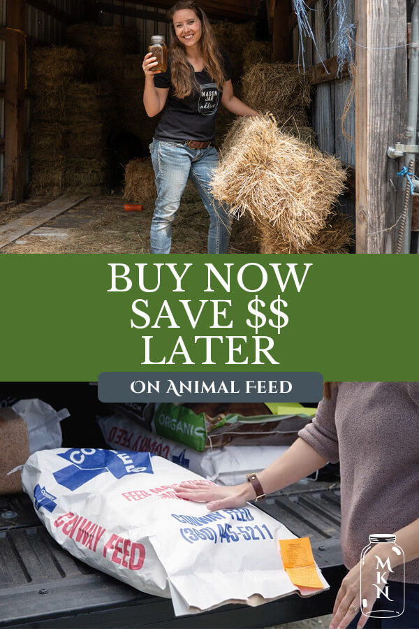 Stocking Up on Animal Feed (+ How Much to Feed Animals) - Melissa K. Norris