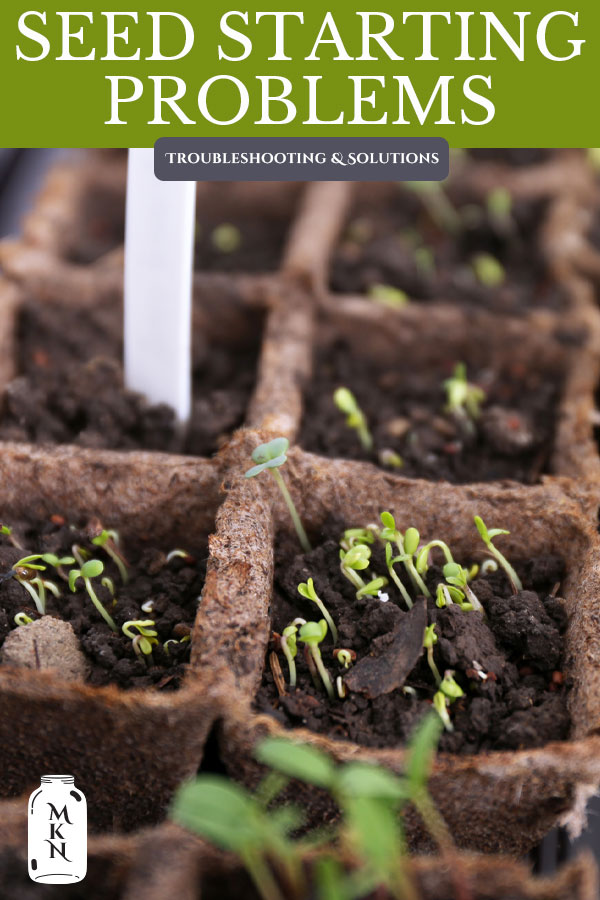 Seed Starting Problems (Troubleshooting & Solutions) - Melissa K. Norris
