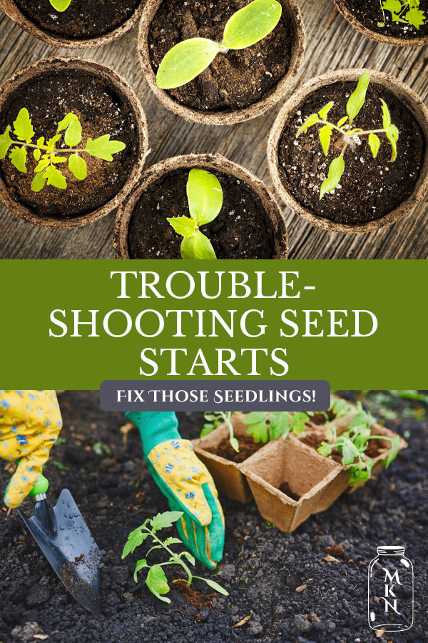 Seed Starting Problems (Troubleshooting & Solutions) - Melissa K. Norris