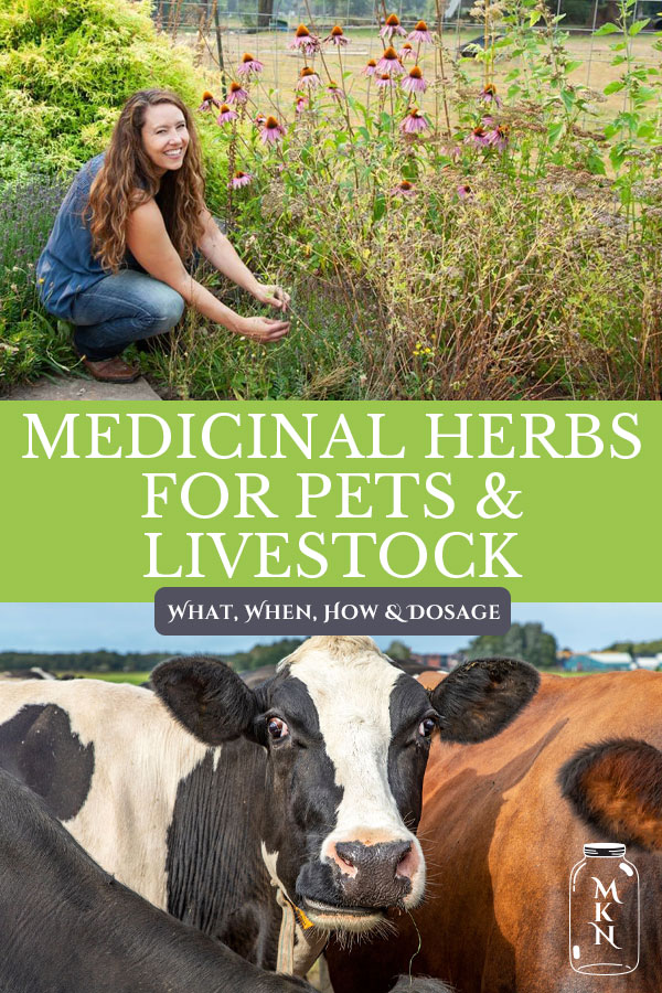 Herbal Remedies for Animals (Pets & Livestock) - Melissa K. Norris