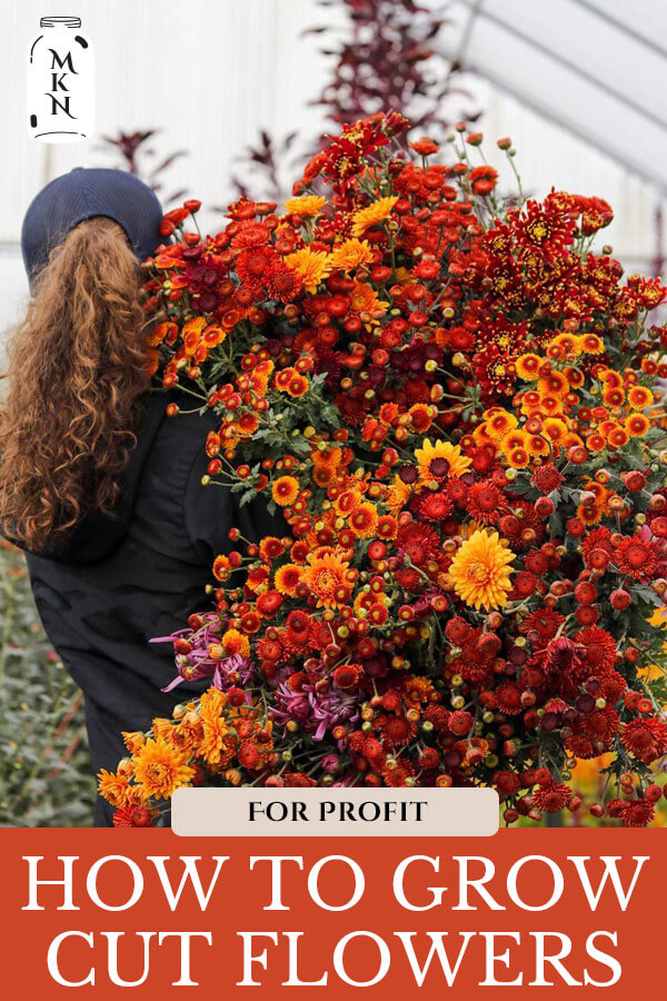 Growing Cut Flowers for Business or Pleasure - Melissa K. Norris