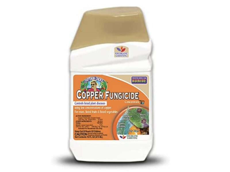 Pest & Disease Control - Melissa K. Norris