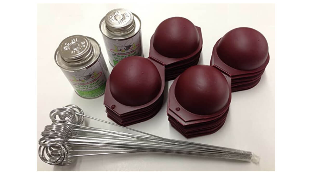 Fruit Management & Pruning Tools - Melissa K. Norris