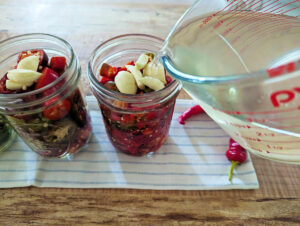 Fermented Peppers | Easy Probiotic Pepper Ferment - Melissa K. Norris