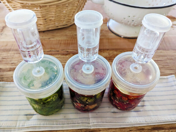 How to Ferment Peppers - Melissa K. Norris