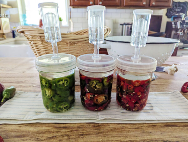 Fermented Peppers | Easy Probiotic Pepper Ferment - Melissa K. Norris
